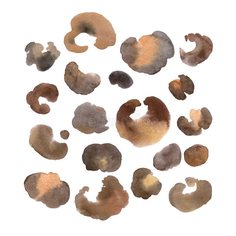 Leopard Spots stock photo. Image of spots, spot, leopards - 35131754