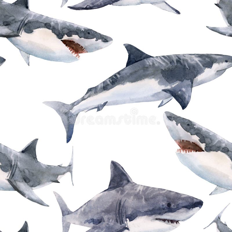 Watercolor shark pattern stock illustration. Illustration of shark ...