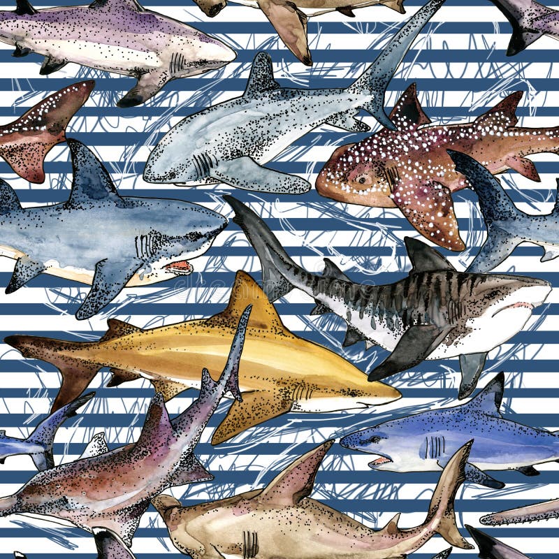 Watercolor Shark Seamless Pattern. Stock Illustration - Illustration of ...