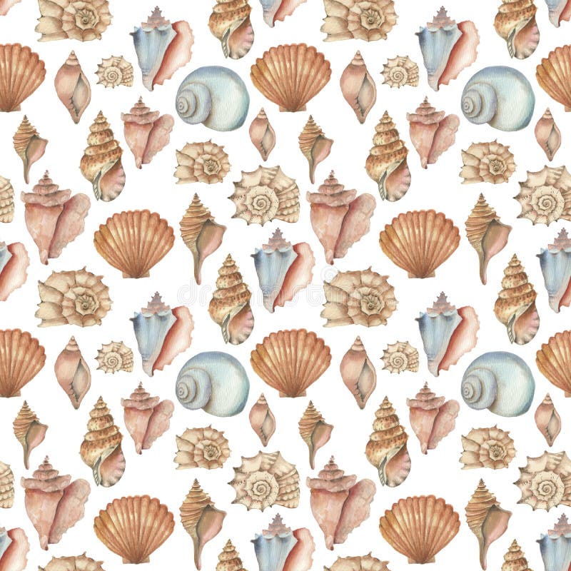 Watercolor Shell Seamless Pattern Stock Image - Image of fabric ...