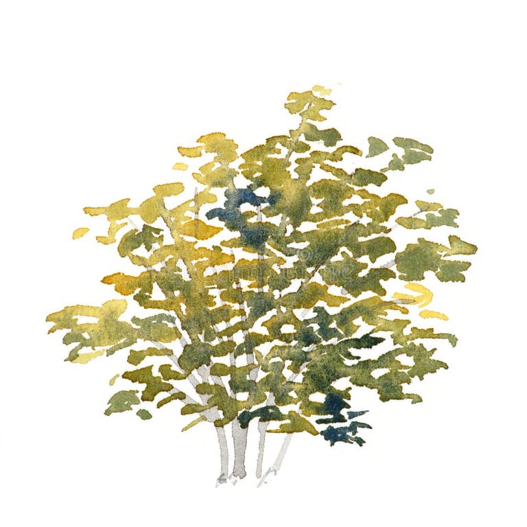 Shrub Stock Illustrations – 141,159 Shrub Stock Illustrations, Vectors ...