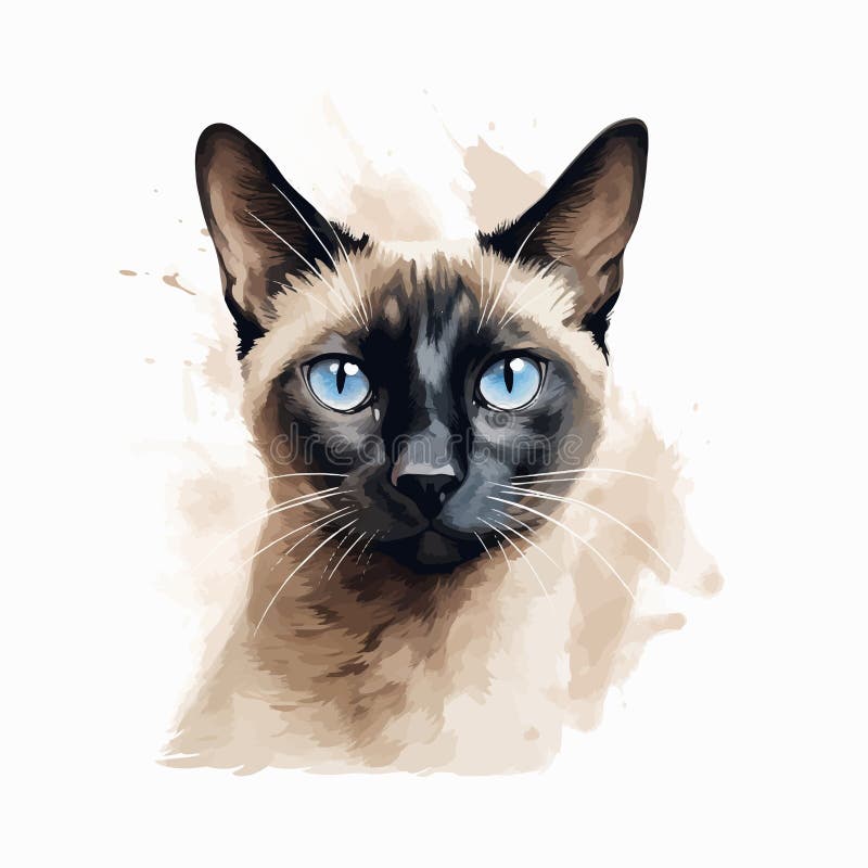 Watercolor Siamese Cat Illustration Stock Vector - Illustration of ...