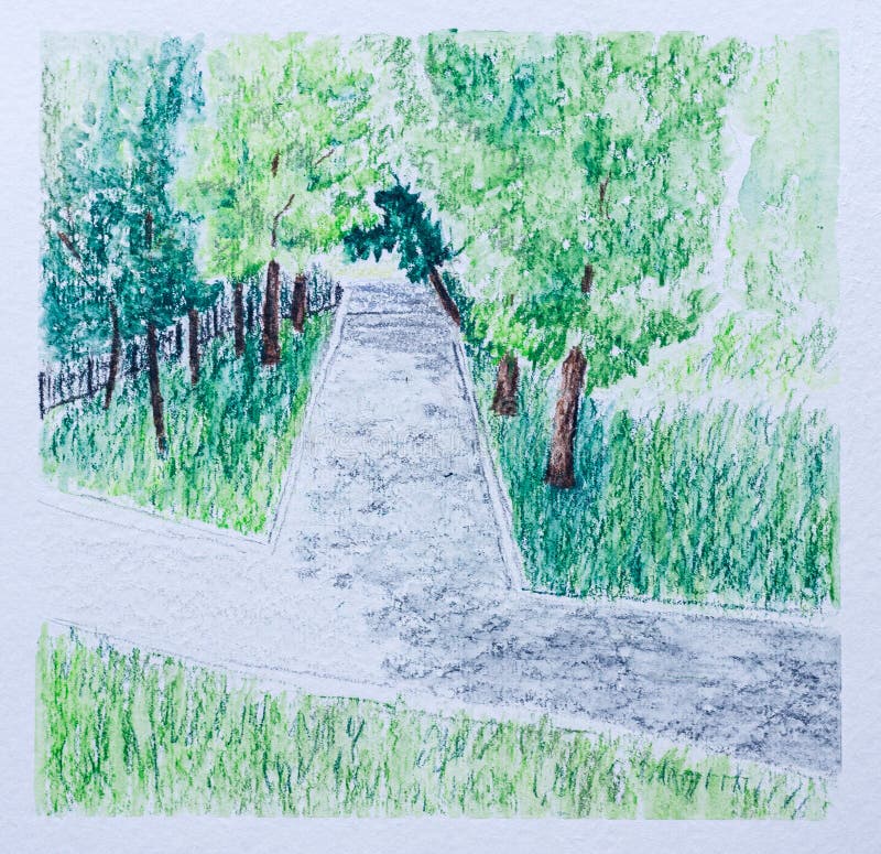 Sketch of path in the park stock photo. Image of forest - 237496714