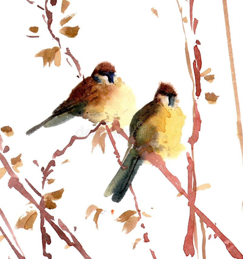 Watercolor Sparrows Stock Illustrations – 214 Watercolor Sparrows Stock ...