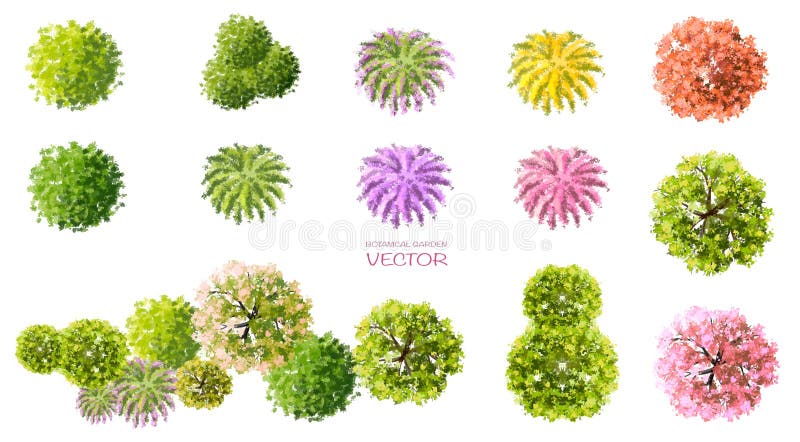 Watercolor Spring Tree Top View for Landscape Stock Vector ...
