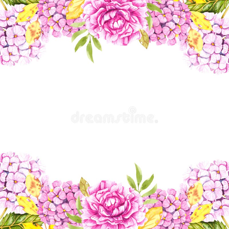 Hydrangea Border Design Square Stock Illustrations – 223 Hydrangea ...