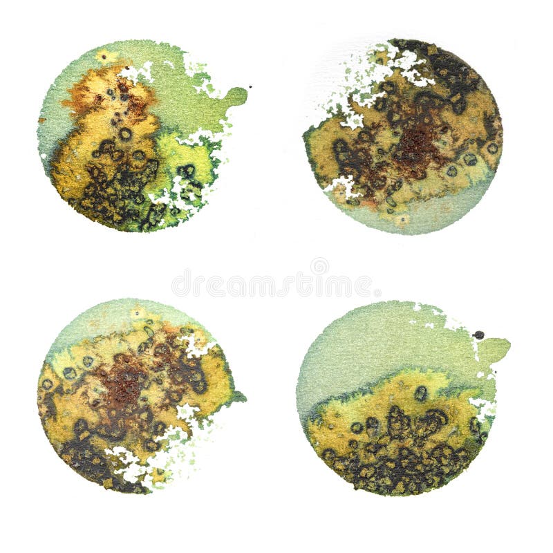 377 Sugar Stains Stock Photos - Free & Royalty-Free Stock Photos from ...