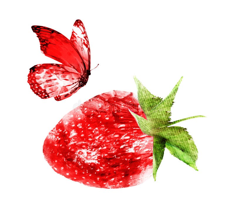 Watercolor Strawberry with Butterfly Stock Illustration - Illustration ...