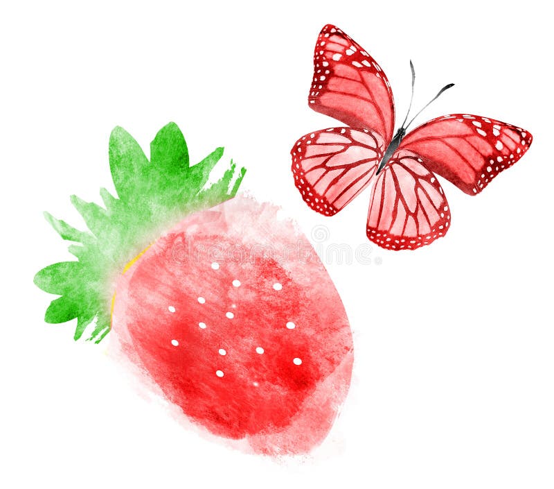 Watercolor Strawberry with Butterfly Stock Illustration - Illustration ...