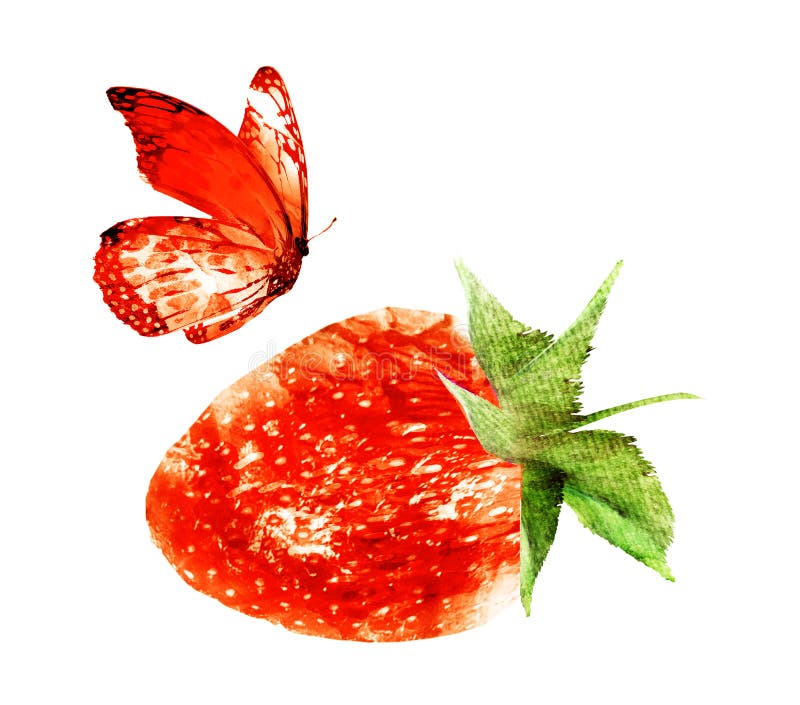 Watercolor Strawberry with Butterfly Stock Illustration - Illustration ...