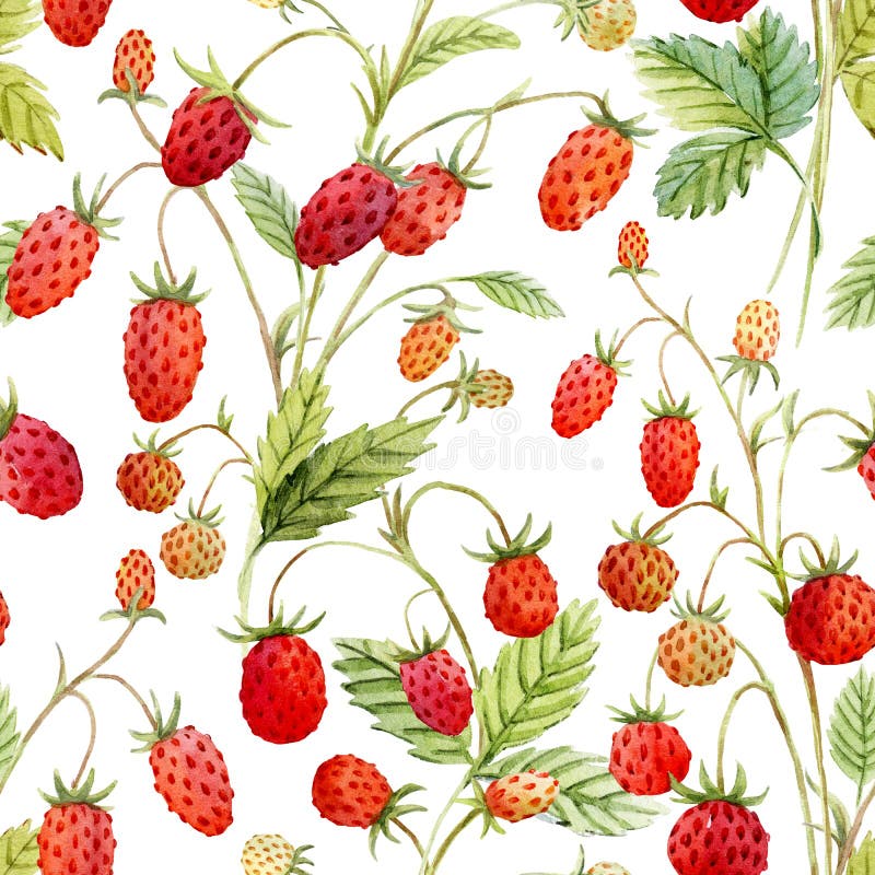 Watercolor Strawberry Vector Pattern Stock Vector - Illustration of ...