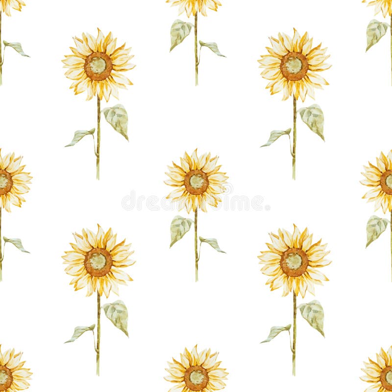 Watercolor Sunflower Pattern Stock Vector - Illustration of flower ...