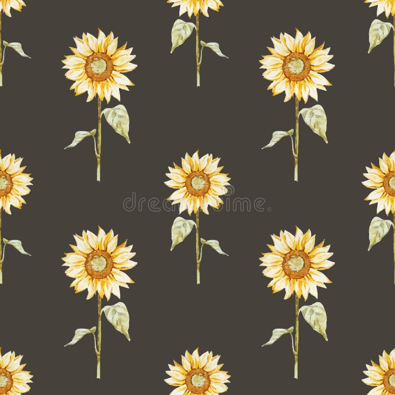 Watercolor Sunflower Pattern Stock Vector - Illustration of blossom ...