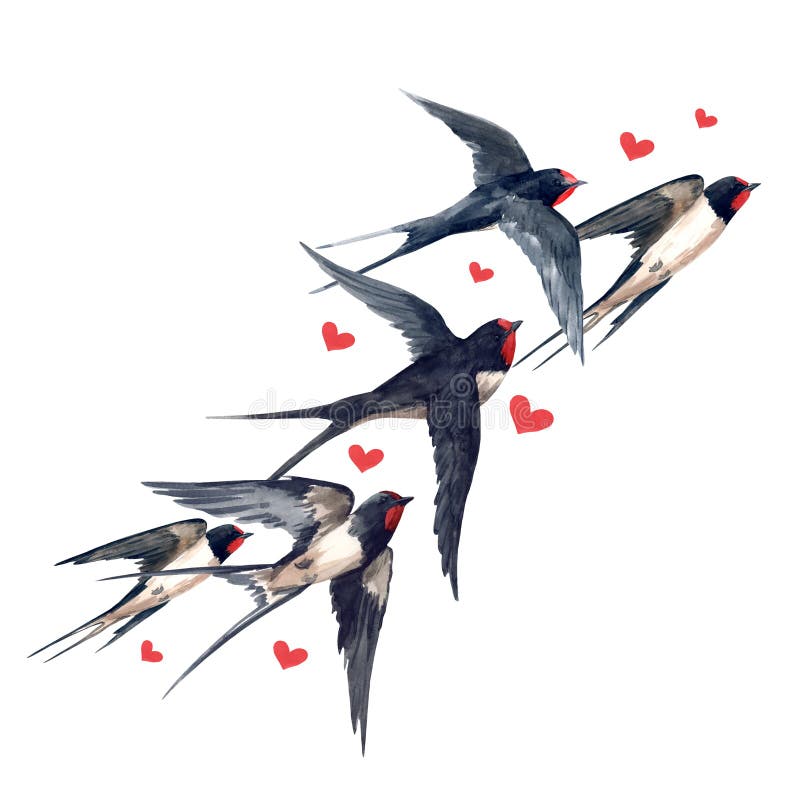 Swallow Stock Illustrations – 16,968 Swallow Stock Illustrations ...
