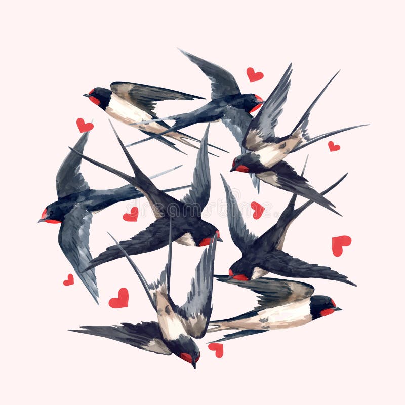 Swallow Stock Illustrations – 13,724 Swallow Stock Illustrations ...