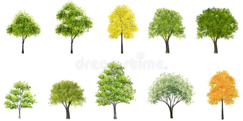Tree Growing Side Stock Illustrations – 280 Tree Growing Side Stock ...