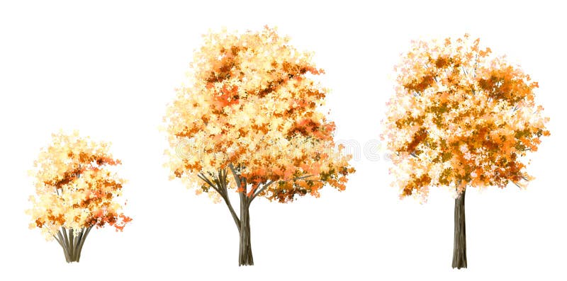 Tree Side View Isolated on White Background for Landscape Stock Photo ...