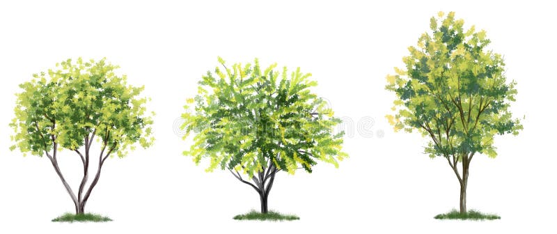 Tree Growing Side Stock Illustrations – 280 Tree Growing Side Stock ...