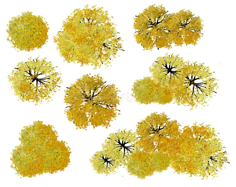 344 Watercolor Tree Plan Stock Photos - Free & Royalty-Free Stock ...