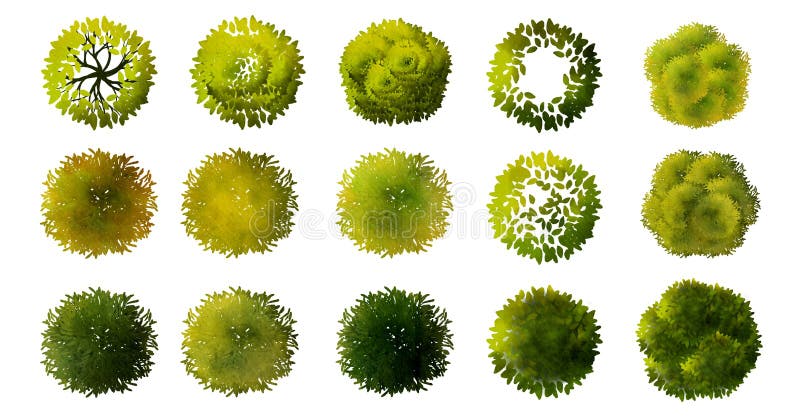 Watercolor tree top view stock photo. Image of watercolor - 199102066