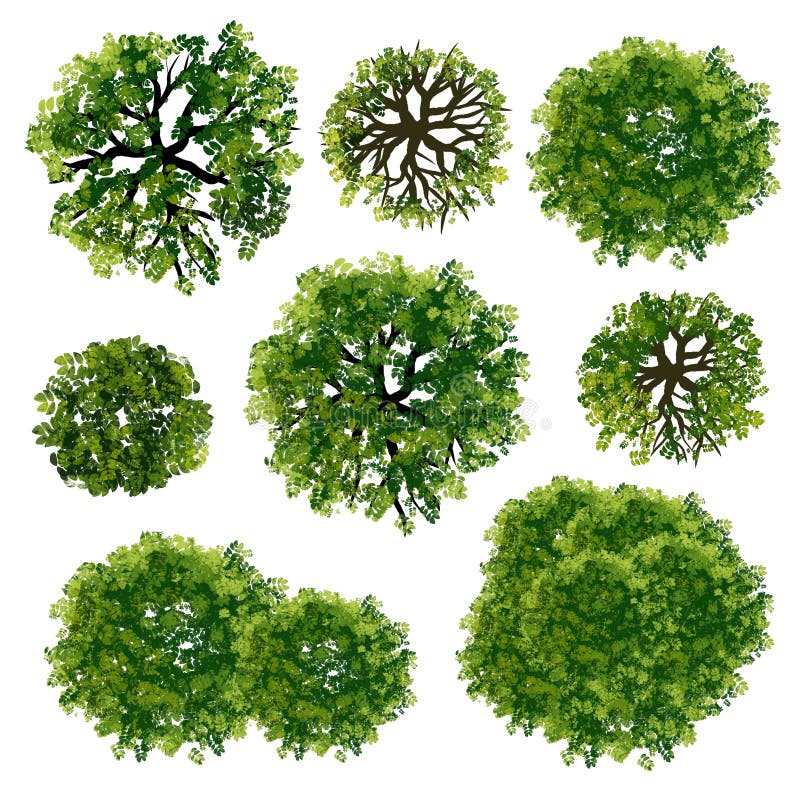 Watercolor tree top view stock photo. Image of environment - 199102130