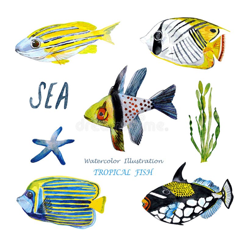 Watercolor tropical fish. stock vector. Illustration of object - 65516557