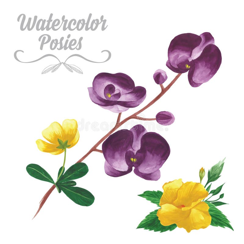 Posie Stock Illustrations – 20 Posie Stock Illustrations, Vectors ...