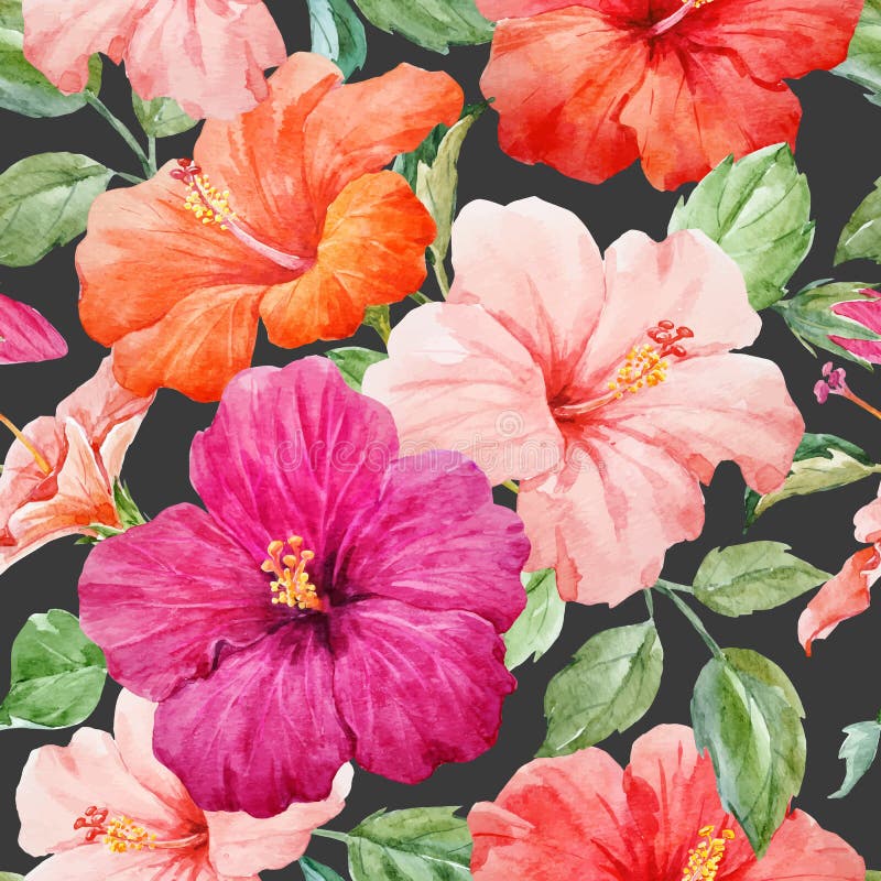 Watercolor Tropical Hibiscus Vector Pattern Stock Vector - Illustration ...