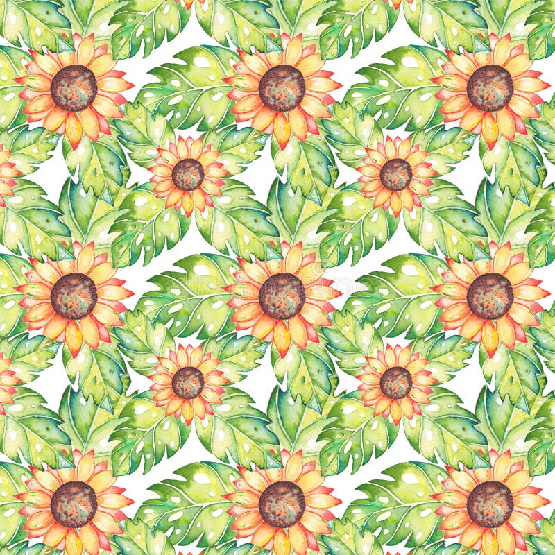 Watercolor Pink Sunflowers Stock Illustrations – 956 Watercolor Pink ...