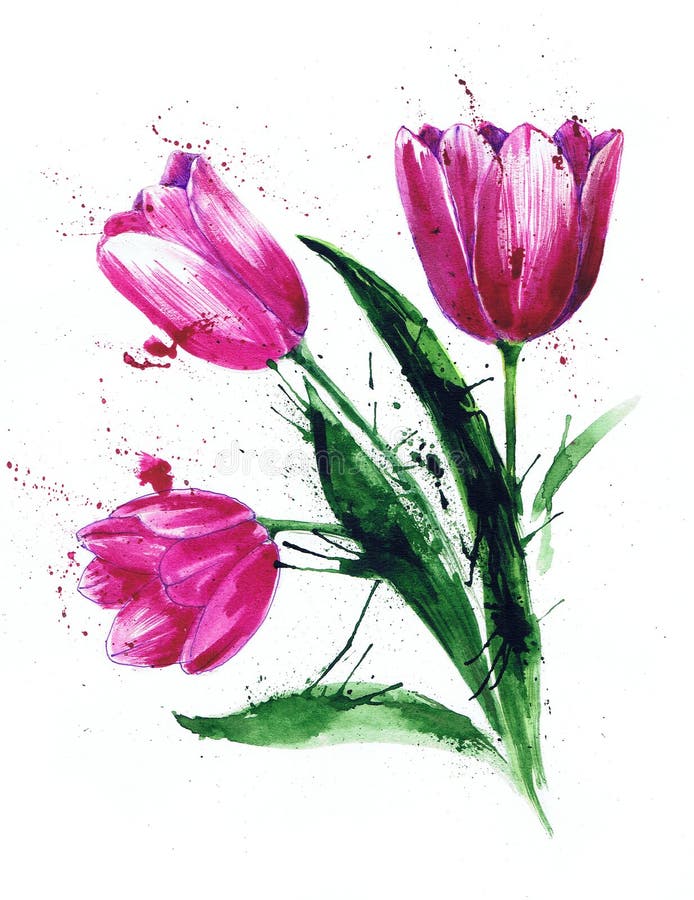 Watercolor Tulips with a Splash of Paint on Background Stock Photo ...