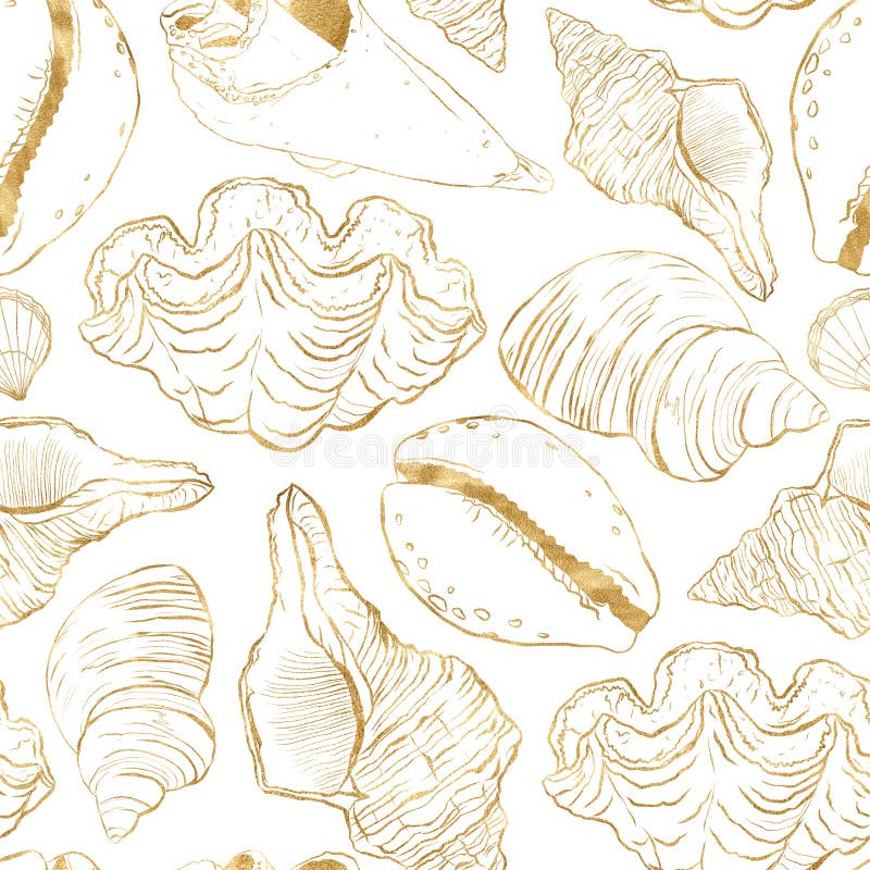 Watercolor Seashell Pearl Stock Illustrations – 1,269 Watercolor ...