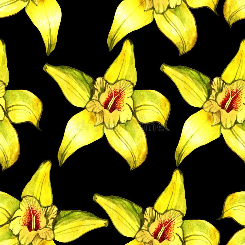 Watercolor Vanilla Illustration Seamless Pattern Stock Illustration ...