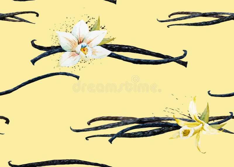 Watercolor Vanilla and Orchid Pattern Stock Vector - Illustration of ...