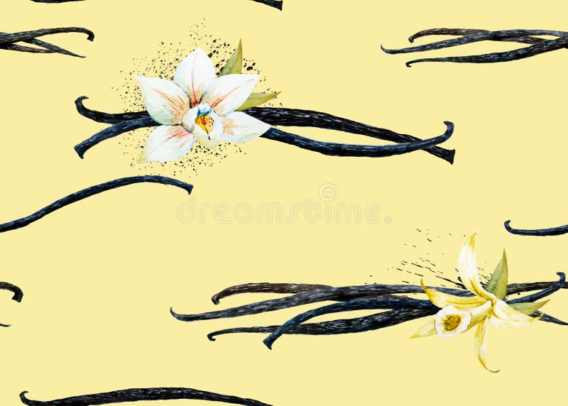 Watercolor Vanilla and Orchid Pattern Stock Illustration - Illustration ...