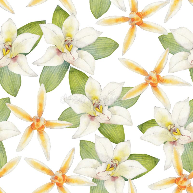 Watercolor vanilla pattern stock illustration. Illustration of banner ...