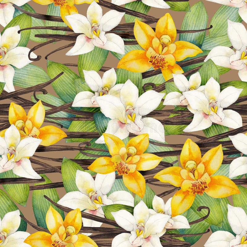 110+ Vanilla pattern Free Stock Photos - StockFreeImages