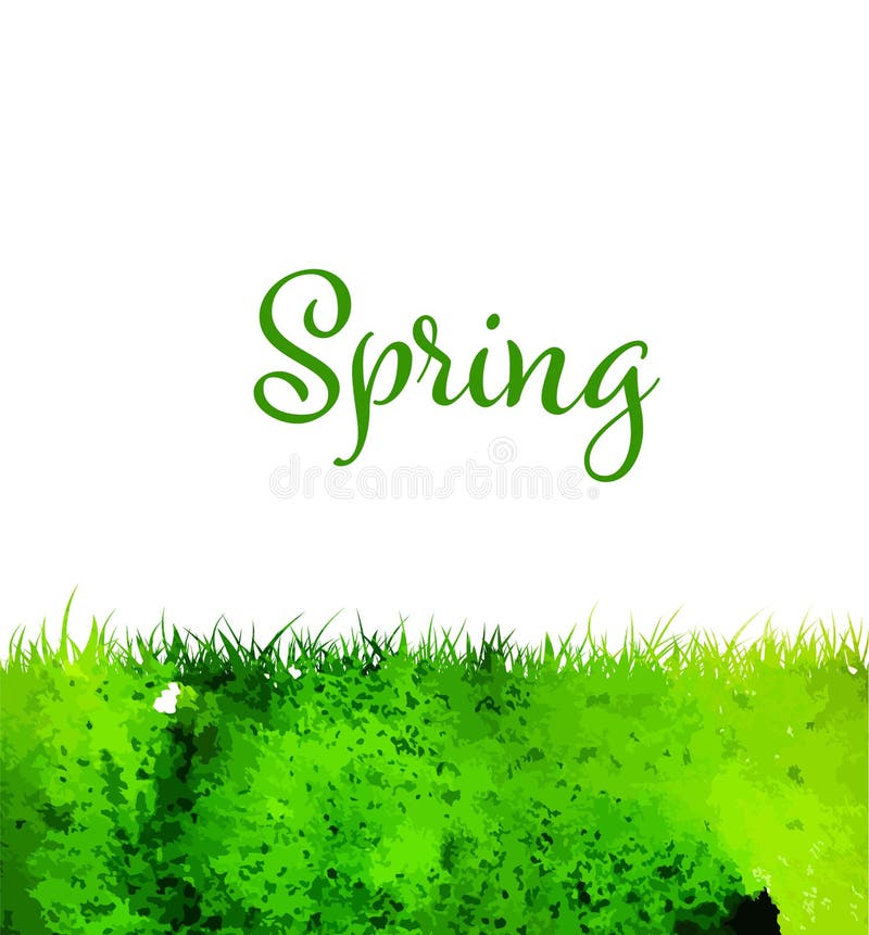 Watercolor Grass Background. Hello Spring. Vector Illustration Stock Vector - Illustration of ...