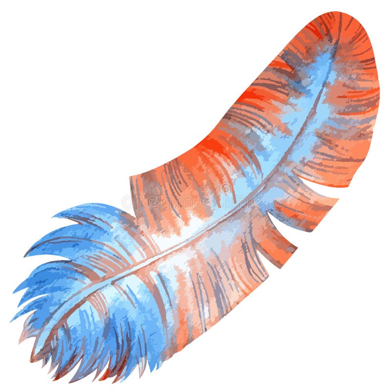 Watercolor Vector Illustration of Colorful Bird Feather Stock Vector ...