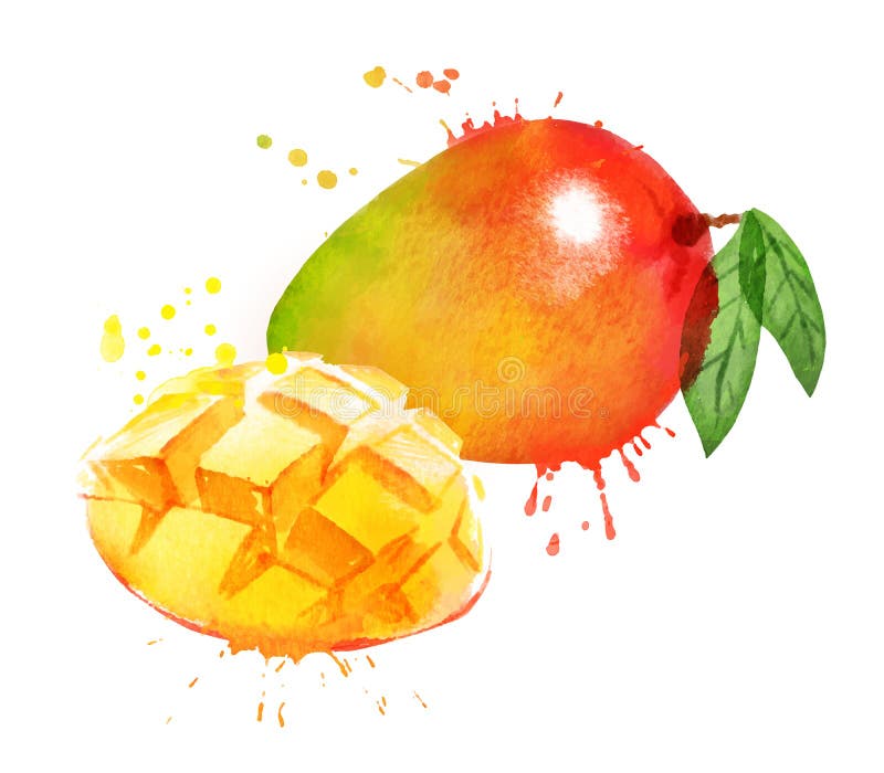 Illustration Mango on Isolated Background Stock Illustration ...