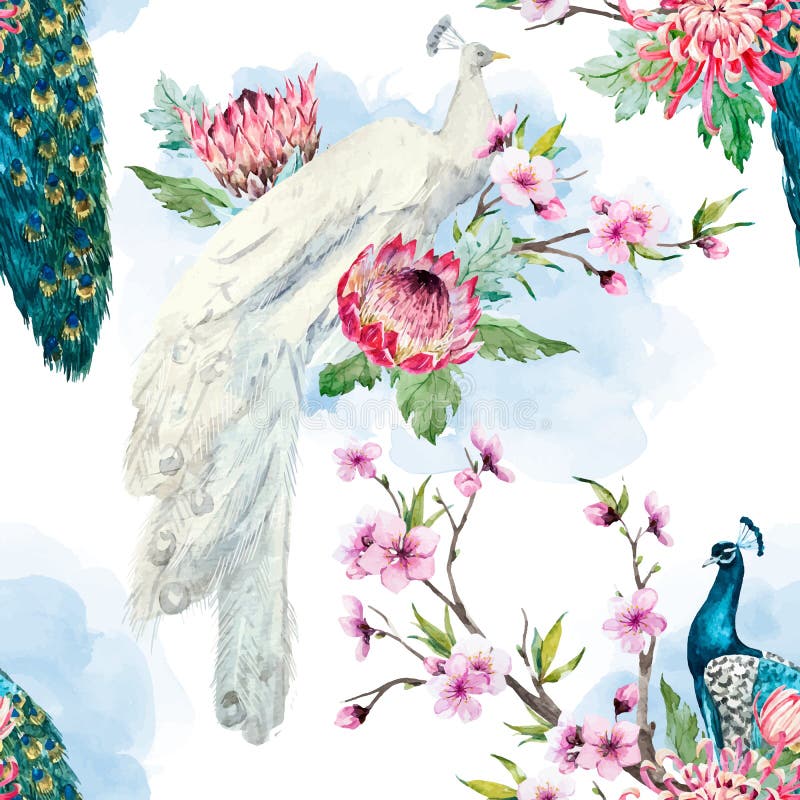 Watercolor Peacock Flowers Pattern Stock Illustrations 1 128