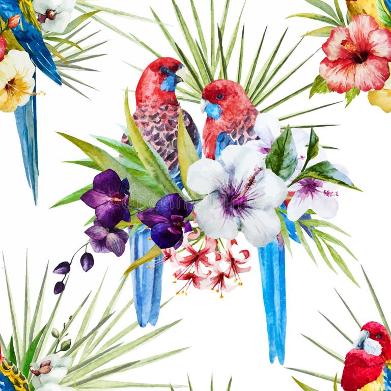 Rosella Flowers Stock Illustrations – 120 Rosella Flowers Stock ...