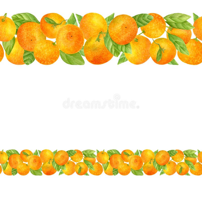 Watercolor Vintage Horizontal Seamless Border with Juicy Tangerines ... Watercolor Vintage Horizontal Seamless Border with Juicy Tangerines ...