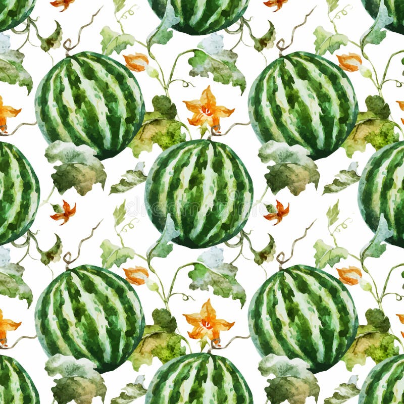 Watercolor Watermelon Melon Pattern Stock Vector - Illustration of ...