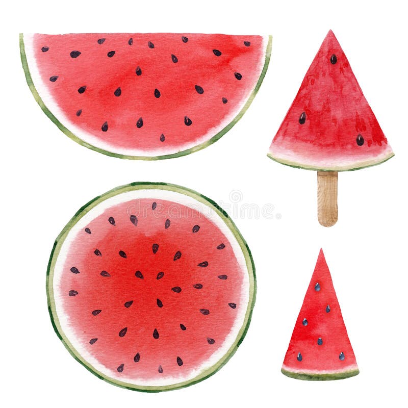 Watercolor watermelon set stock illustration. Illustration of trendy ...