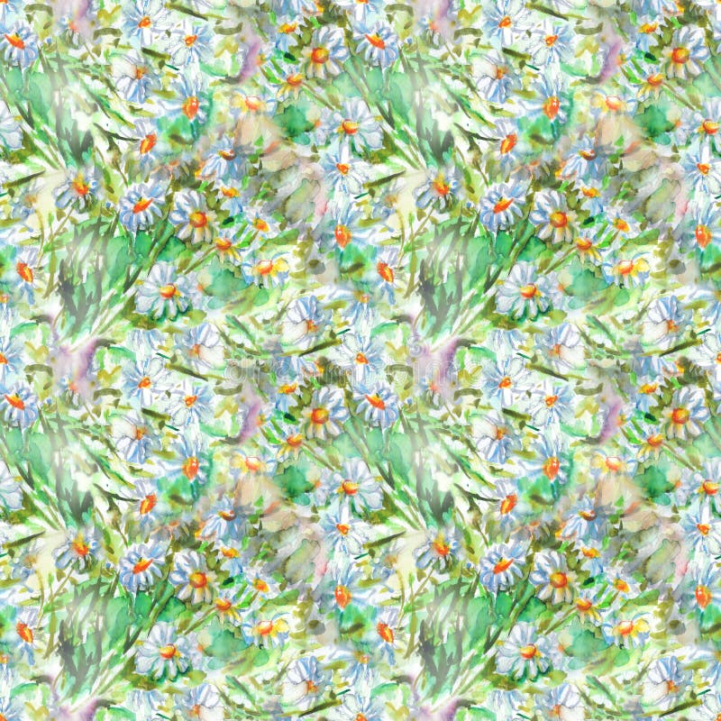 Watercolor White Blue Little Chamomile Daisy Flowers and Greenery ...