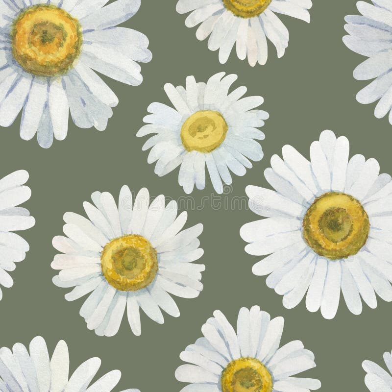 Watercolor White Daisy Pattern Stock Photo - Image of green, textile ...
