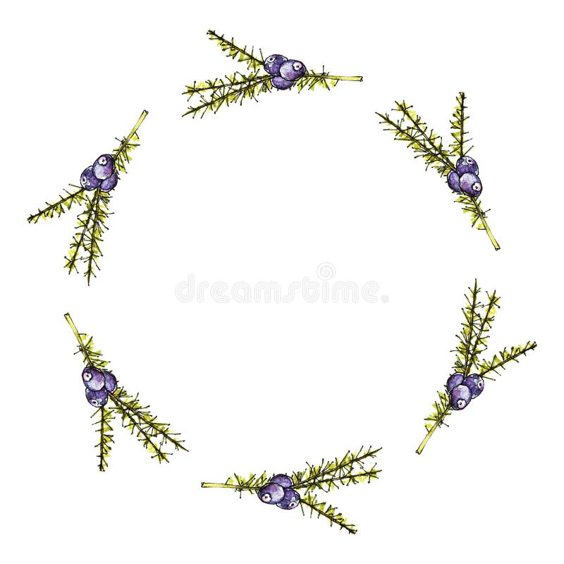 Watercolor Wild Berries Frame Stock Illustration - Illustration of card ...