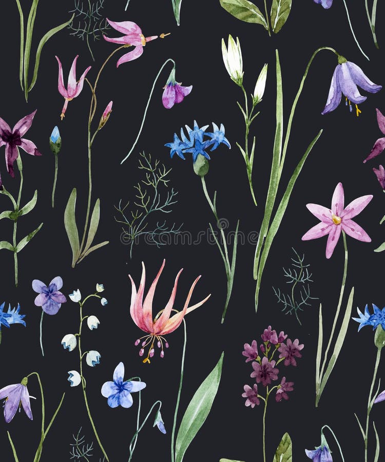 Watercolor Wild Flowers Pattern Stock Vector - Illustration of daisy ...