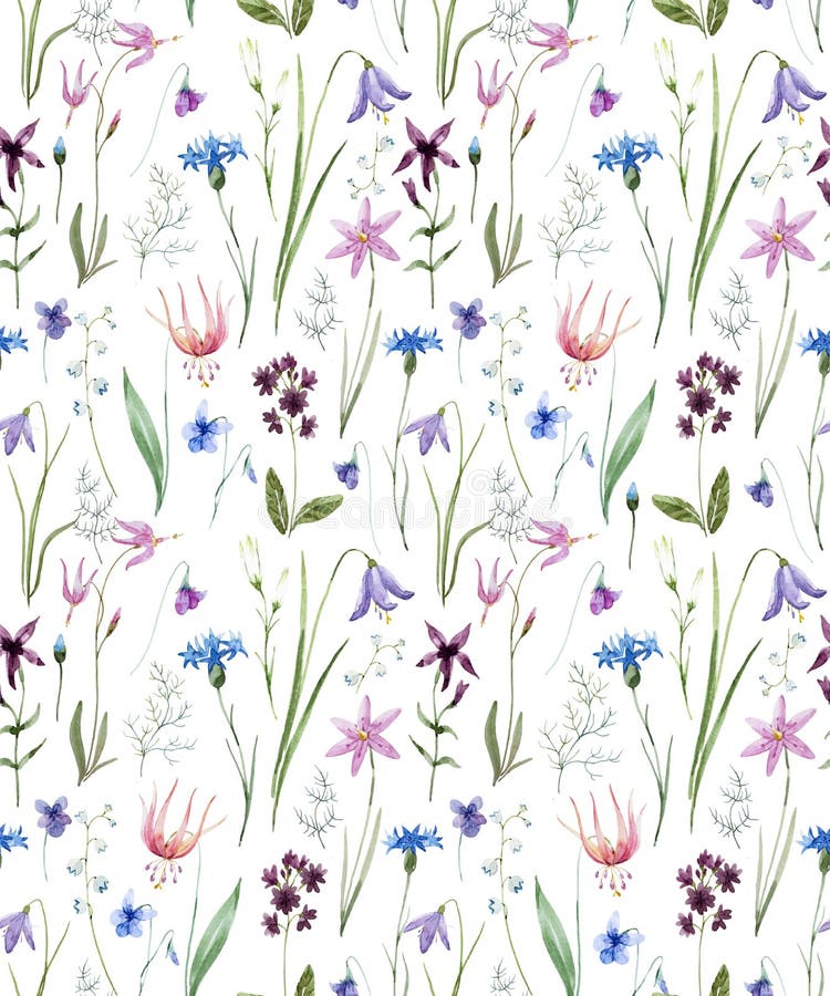 Watercolor Wild Flowers Pattern Stock Illustration - Illustration of ...