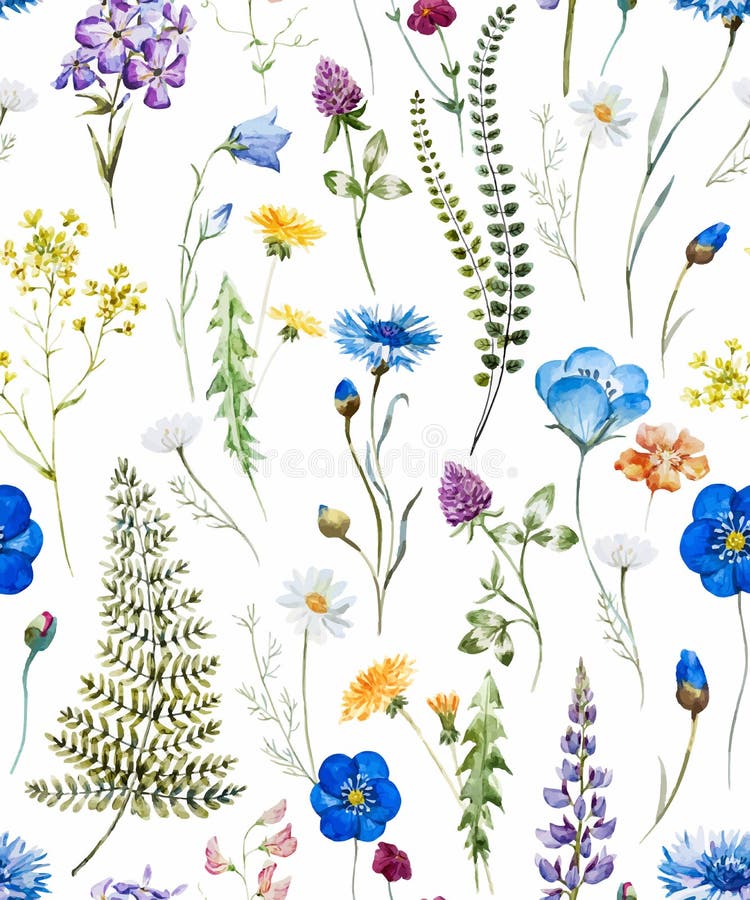 Watercolor Wild Flowers Pattern Stock Vector - Illustration of floral ...